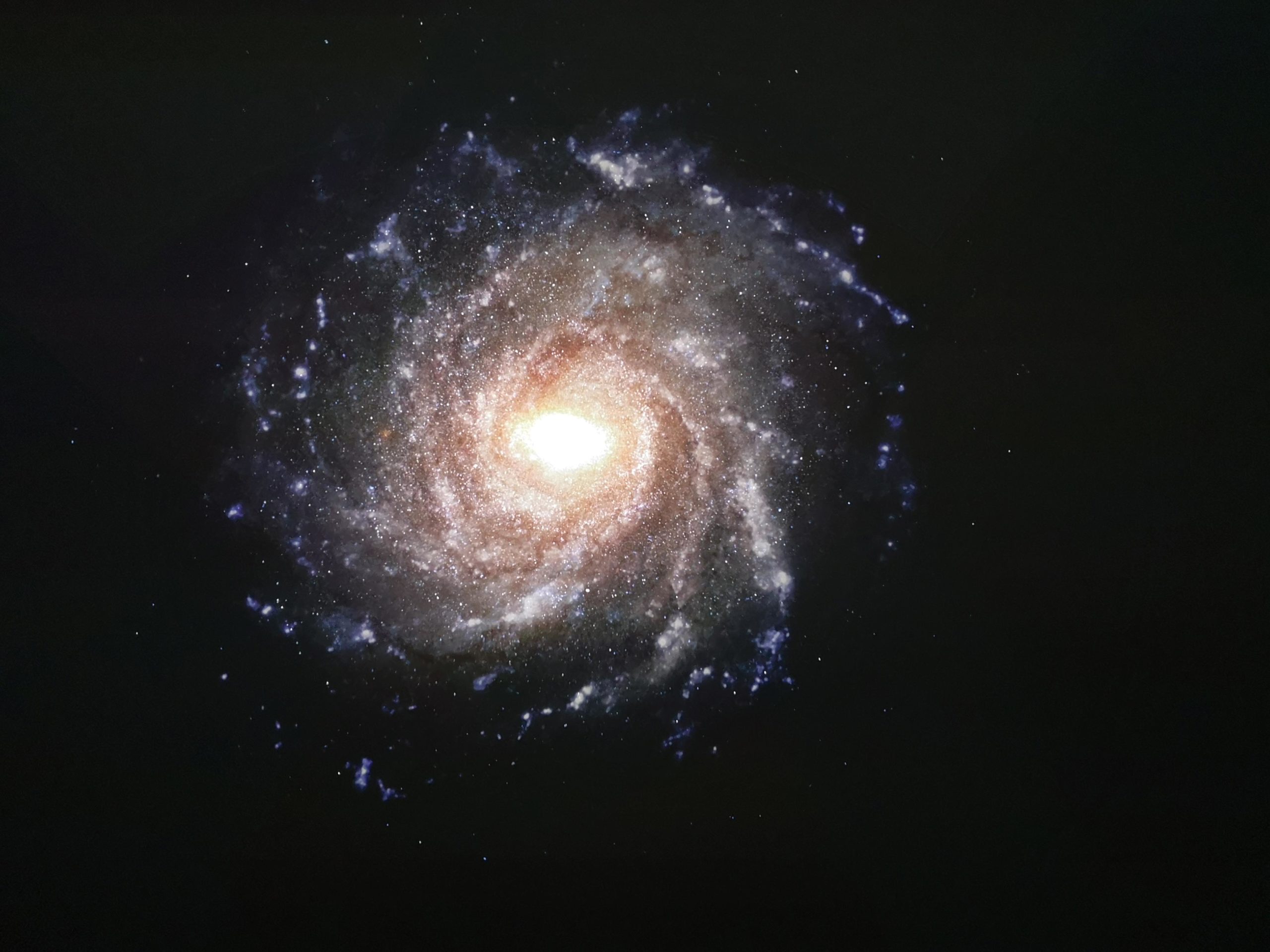 WHY ARE WE HERE? AN ASTRONOMER’S GUIDE TO THE UNIVERSE with Professor ...